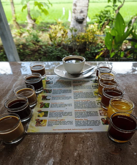 Ubud: Highlight Nature Wildlife, Swing & Waterfall - The Sum Up: A Balanced, Value-Packed Day in Ubud