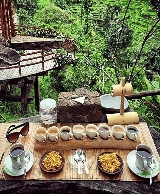 Ubud: Highlight Nature Wildlife, Swing & Waterfall - FAQ