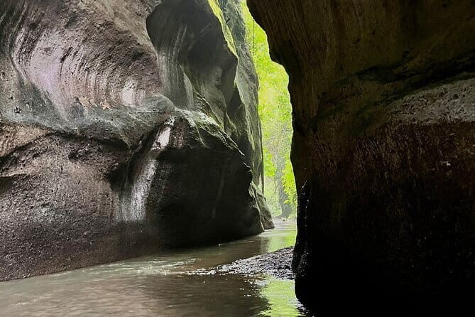 Ubud Highlights Full-Day Tour - Small Group - FAQ