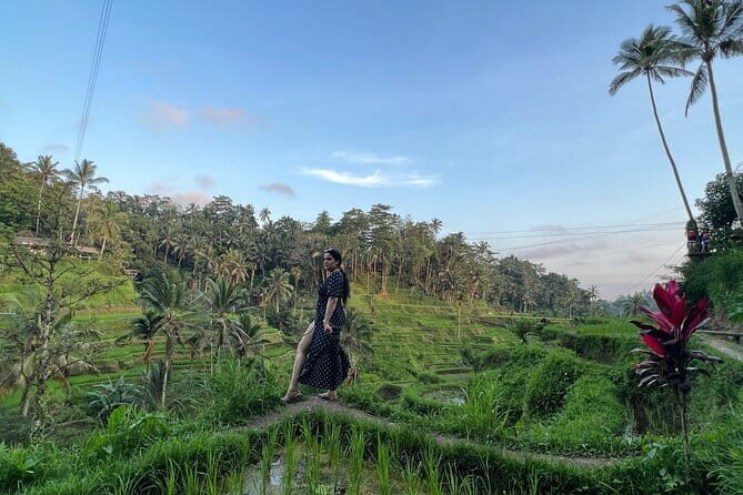 Ubud Higlight - Ubud Highlight holy Water temple on Private Tours - A Detailed Look at the Ubud Highlight Tour
