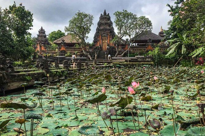 Ubud Instagram Spots Tour - One Day Private Trip - What You’ll Experience: A Detailed Breakdown