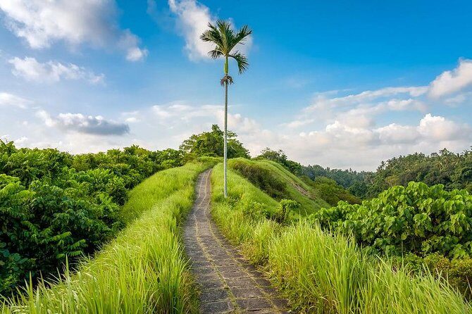 Ubud Instagram Spots Tour - One Day Private Trip - Authenticity and Visitor Feedback