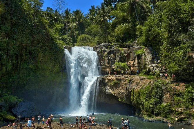 Ubud Instagram: Waterfall Tours - Who Will Love This Tour?
