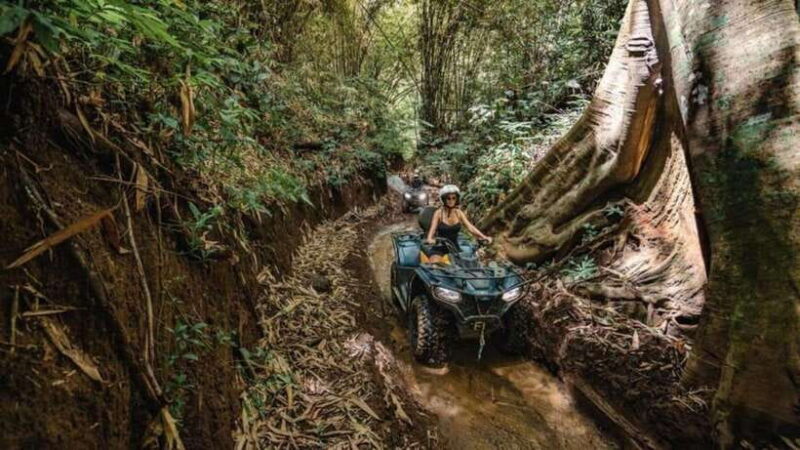 Ubud: Jungle ATV Adventure Waterfall Gorilla Cave and Lunch - Practical Details and Value