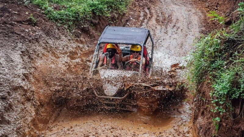 Ubud: Jungle Buggy Ride Adventure Guided Tour in Bali - Key Points
