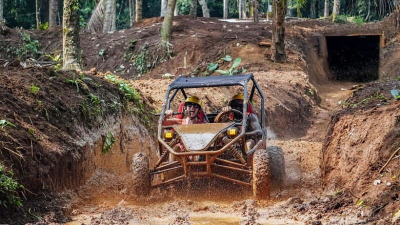Ubud: Jungle Buggy Ride Adventure Guided Tour in Bali - The Sum Up