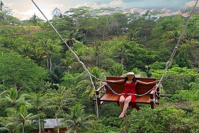 Ubud Jungle Swing Bali Tour - Key Points