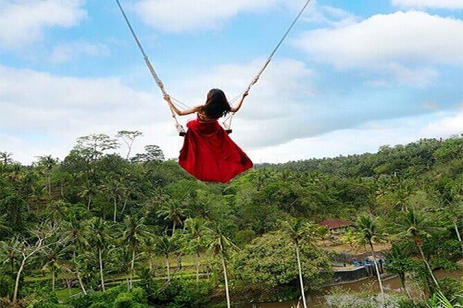 Ubud Jungle Swing Bali Tour - Why Consider This Tour?