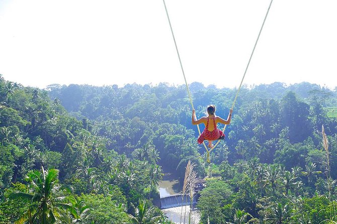 Ubud Jungle Swing, Temple & Waterfall Tour (Private Half Day Tour) - Final Thoughts: Who is This Tour Best For?