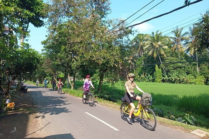 Ubud : Kintamani Downhill Cycling Tour with Lunch - The Reviews in Context