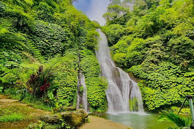 Ubud : Kintamani Downhill Cycling Tour with Lunch - The Sum Up: Who Will Love This Tour?