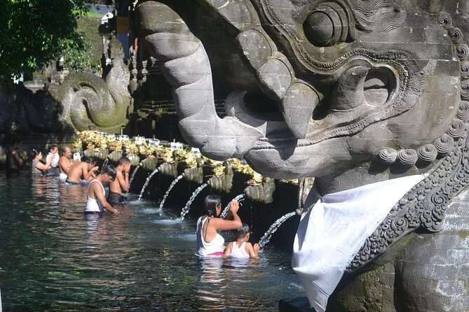 Ubud Kintamani Private Tour - A Detailed Look at the Ubud Kintamani Private Tour
