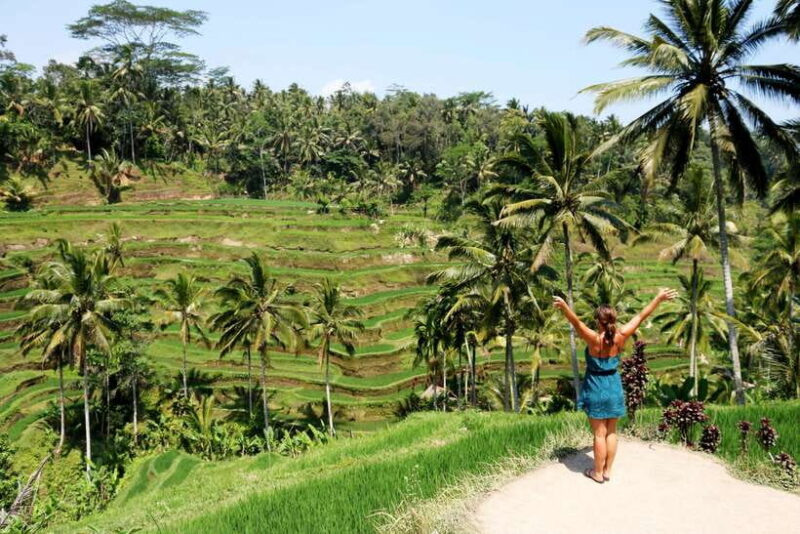 Ubud: Monkey Forest and Rice Terrace Private Tour - Key Points: