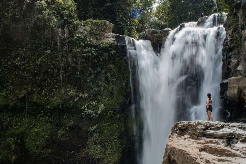 Ubud: Monkey Forest, Ceking Rice Terraces and More Full Day - Key Points