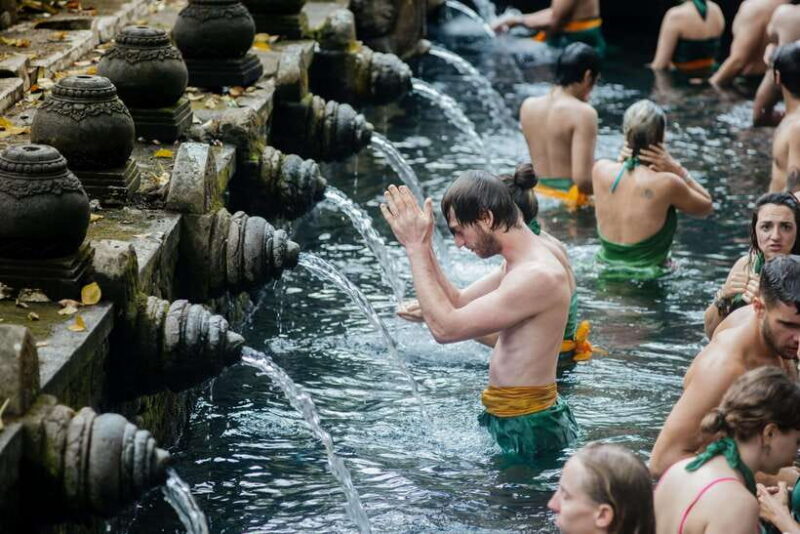 Ubud: Monkey Forest, Ceking Rice Terraces and More Full Day - Why You Should Consider This Tour