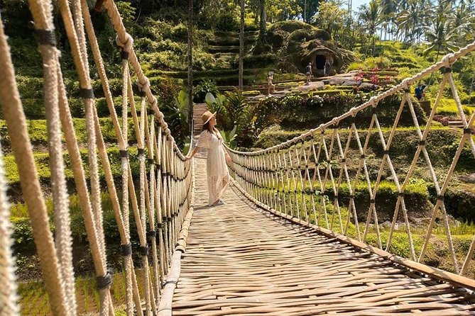 Ubud: Monkey Forest, Jungle Swing, Rice Terrace, and Water Temple - Who Will Love This Tour?
