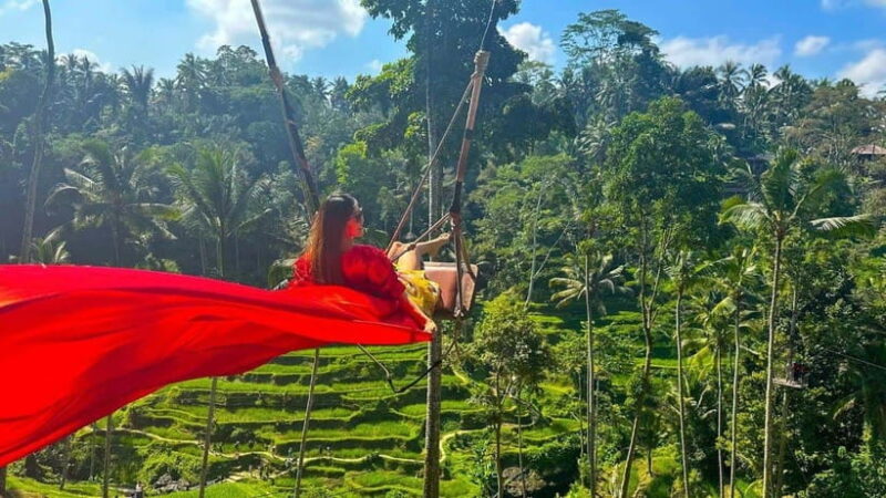 Ubud Monkey Forest, Rice Terrace, and Swing Private Tour - Key Points