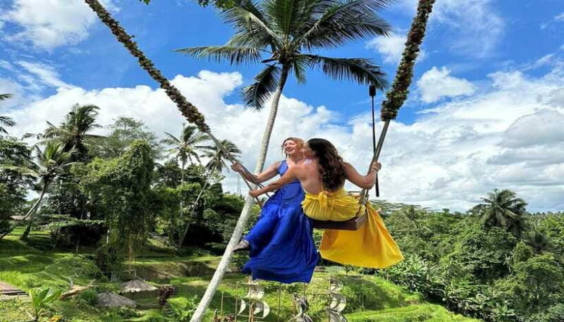 Ubud Monkey Forest, Rice Terrace, and Swing Private Tour - Stop 1: Sacred Monkey Forest Sanctuary