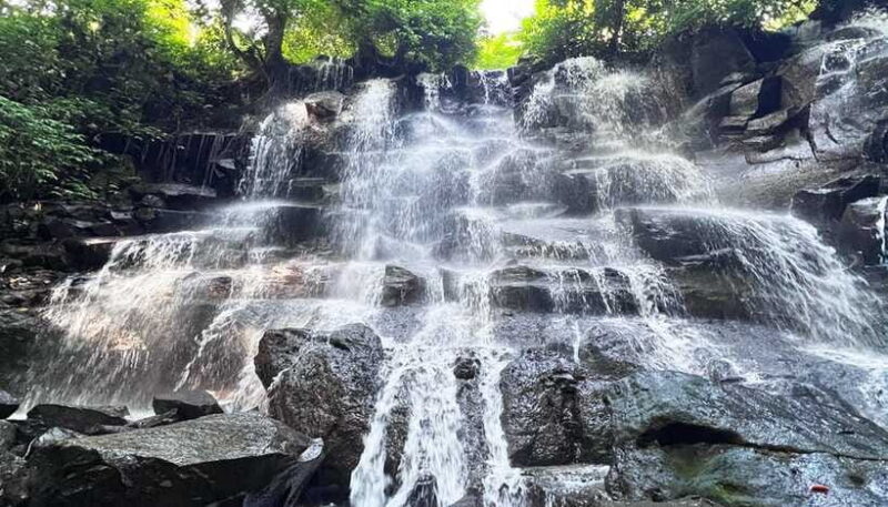 Ubud Monkey Forest, Rice Terrace, and Swing Private Tour - Additional Highlights: Organic Farm Visit