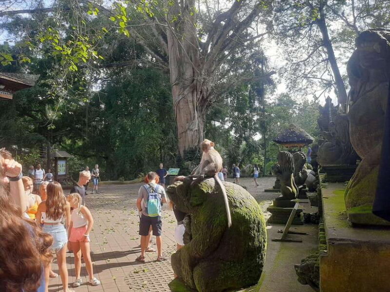 Ubud: Monkey Forest, Rice Terrace, and Waterfall - Key Points