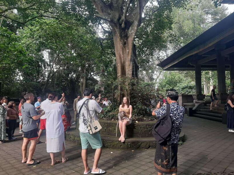 Ubud: Monkey Forest, Rice Terrace, and Waterfall - The Practical Side: Logistics, Value, and Tips