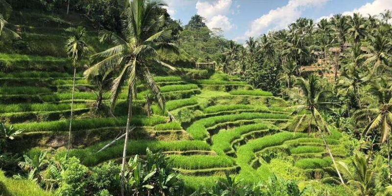 Ubud Monkey Forest, Rice Terrace, Swing, Temple & Waterfall - FAQs