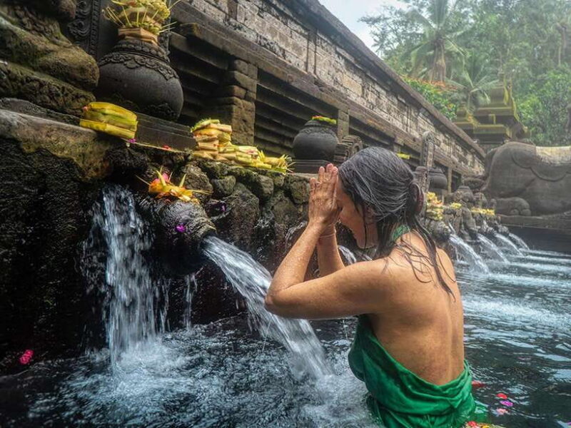 Ubud : Monkey Forest, Rice Terrace, Waterfall / Private Tour - The Practicalities: What You Can Expect