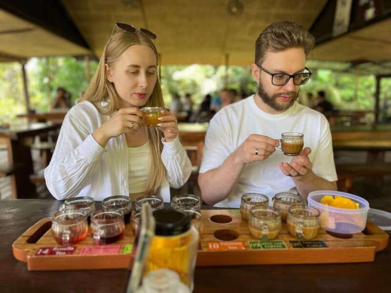 Ubud: Monkey Forest, Rice Terrace, Waterfall, Water Temple - Who This Tour Is Best For