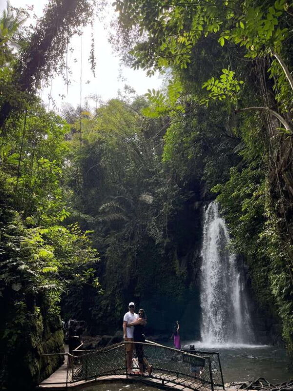 Ubud: Monkey Forest, Rice Terrace, Waterfall, Water Temple - Final Thoughts