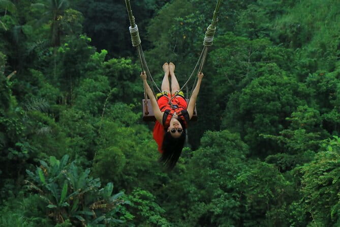 Ubud: Monkey Forest, Rice Terraces and Jungle Swing Tour - The Experience and Its Value