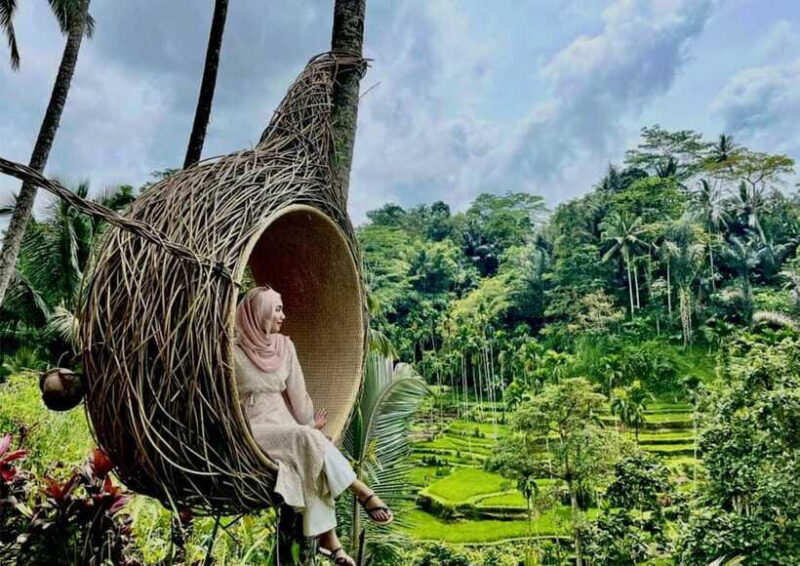 Ubud: Monkey Forest, Rice Terraces, and Swing Day Tour - In The Sum Up