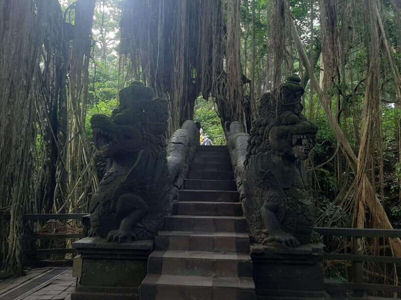 Ubud: Monkey Forest, Rice Terraces, and Waterfall - Ubud: Monkey Forest, Rice Terraces, and Waterfall – A Detailed Tour Review