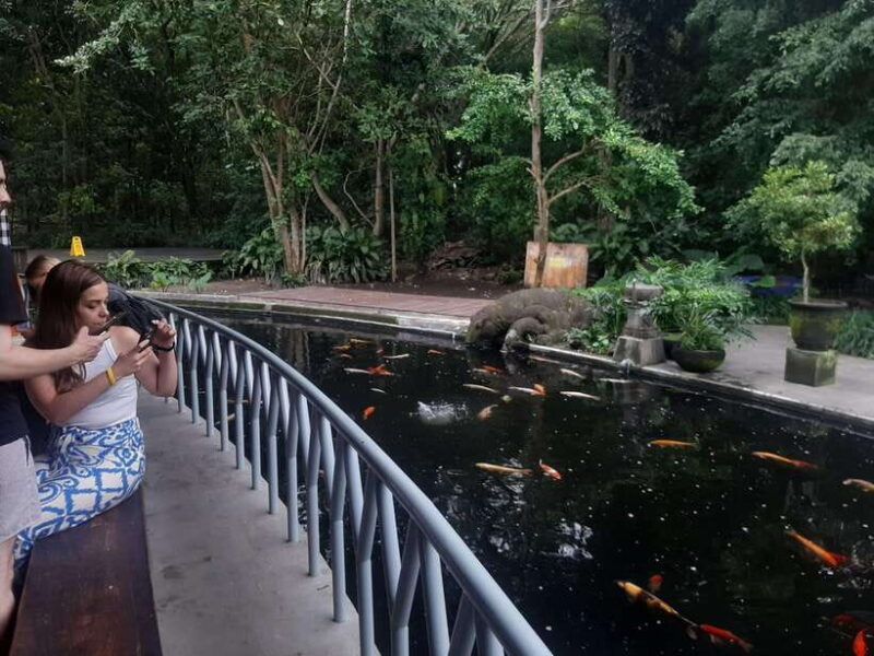 Ubud: Monkey Forest, Rice Terraces, and Waterfall - Transportation and Guides