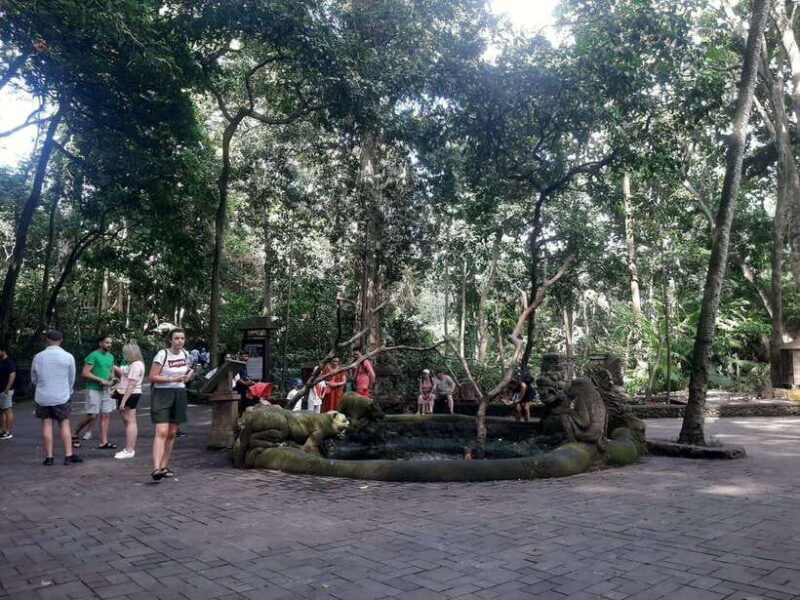 Ubud: Monkey Forest, Rice Terraces, and Waterfall - Who Will Love This Tour?