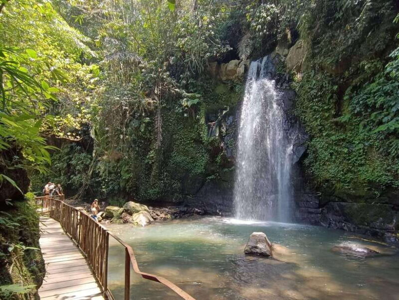 Ubud: Monkey Forest, Rice Terraces, and Waterfall Tour - Scenic Beauty at Bali’s Rice Terraces