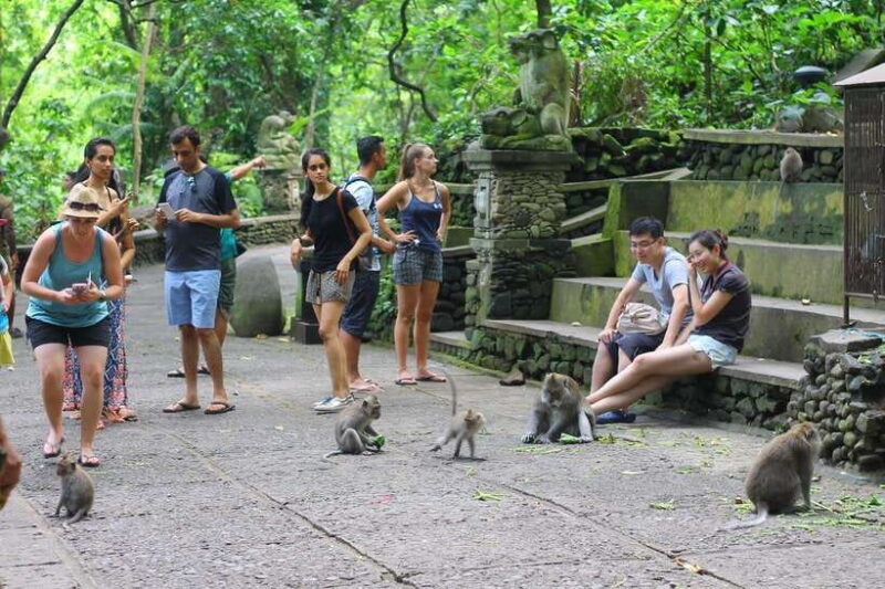 Ubud: Monkey Forest, Rice Terraces, and Waterfall Tour - The Sum Up