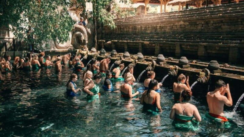 Ubud: Monkey Forest, Rice Terraces, Temple&Petanu Waterfall - The Experience Through the Lens of Reviews