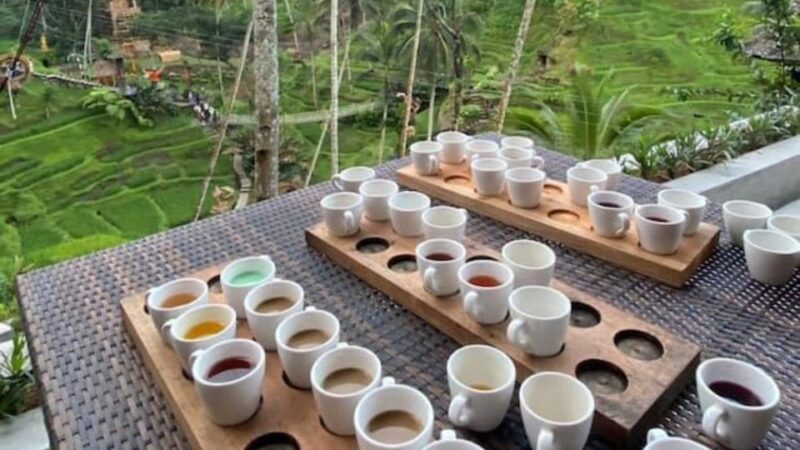 Ubud: Monkey Forest, Rice Terraces, Temple&Petanu Waterfall - Practical Considerations