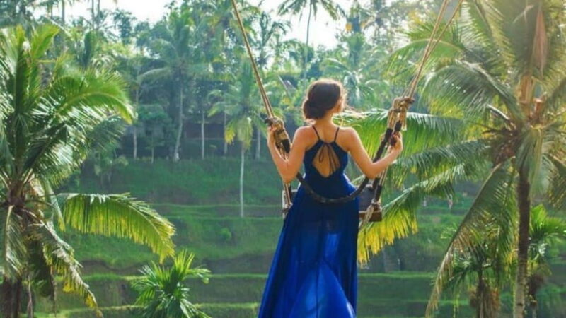 Ubud: Monkey Forest, Rice Terraces, Temple&Petanu Waterfall - Who Should Consider This Tour?