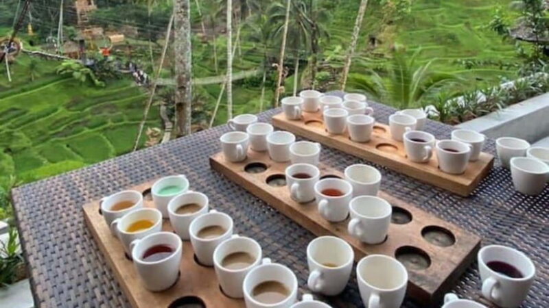 Ubud: Monkey Forest, Rice Terraces, Temple&Petanu Waterfall - The Sum Up