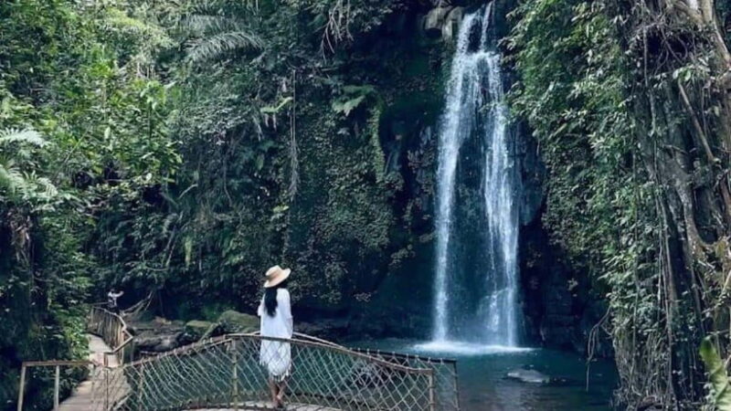 Ubud: Monkey Forest, Rice Terraces, Temple&Petanu Waterfall - FAQ