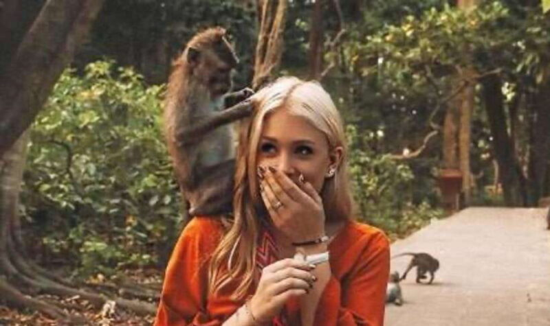 Ubud: Monkey Forest, Rice Terraces, Waterfall & Temple - The Practicalities: Transportation, Timing, and Comfort