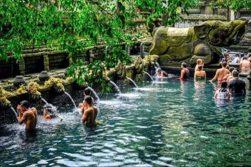 Ubud: Monkey Forest, Rice Terraces, Waterfall & Temple - Who Will Love This Tour?