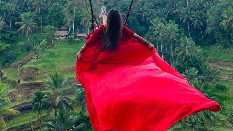 Ubud: Monkey Forest, Rice Terraces, Waterfall & Temple - The Sum Up: Is It Worth It?