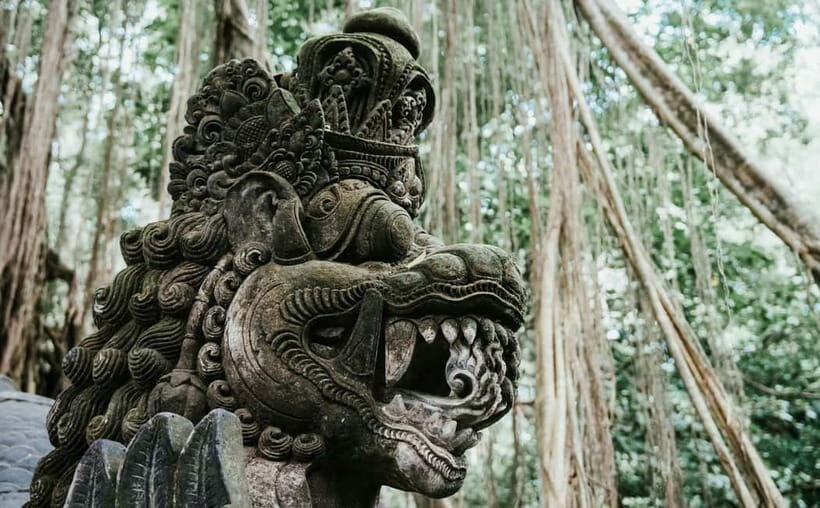 Ubud, Monkey forest, Riceterace Waterfall, Purification - What Makes This Tour Stand Out
