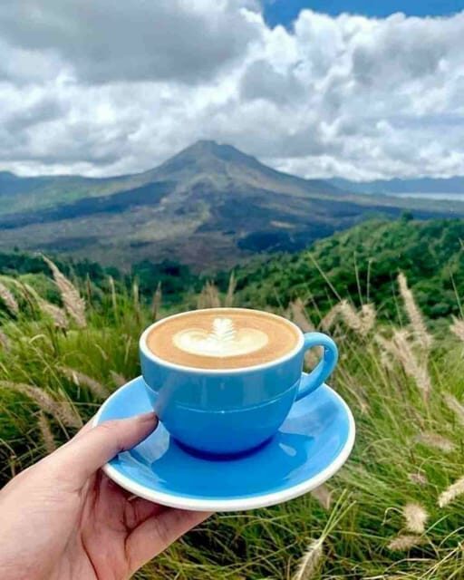 Ubud, Monkey forest, Riceterace Waterfall, Purification - Why This Tour Is Worth It
