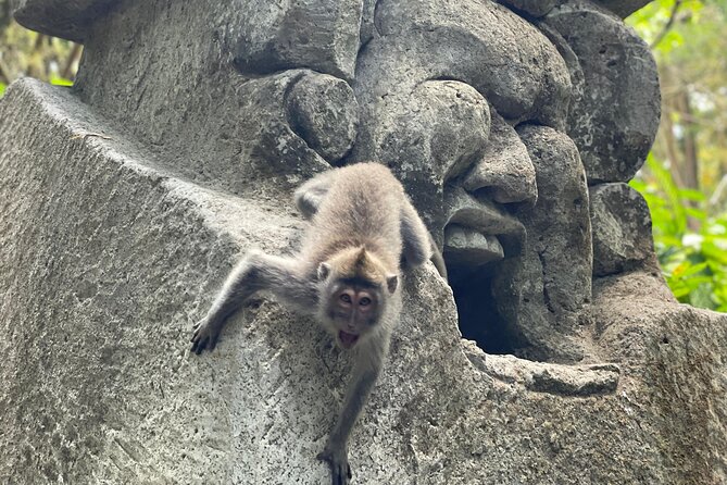 Ubud Monkey Forest Sanctuary Entrance Ticket All Inclusive - The Sum Up