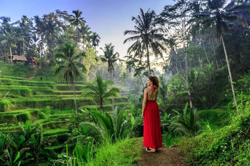 Ubud: Monkey Forest Sanctuary & Jungle Swing Tour - Frequently Asked Questions