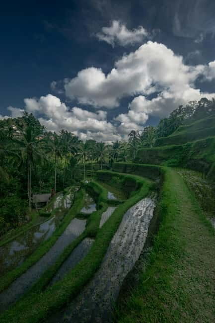 Ubud: Monkey Forest, Tegenungan Waterfall, and Rice Terraces - FAQs