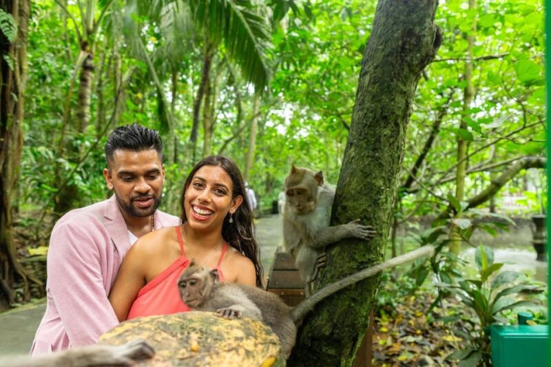 Ubud Monkey Forest, Temple, Rice Terrace and Waterfall Tour - Key Points